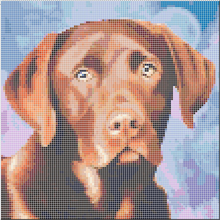 Daisy as Best in Show, US made, ships in 2-5 days – Diamond Art Emporium